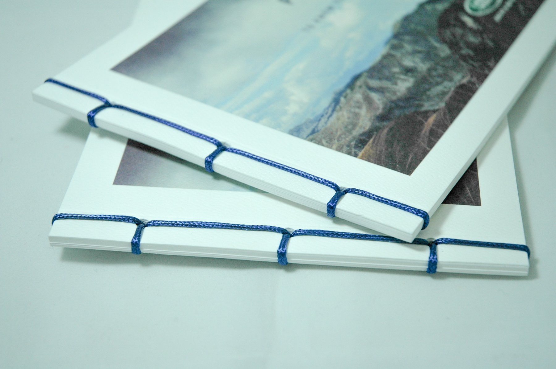 A Print Buyer's Guide to Binding Techniques